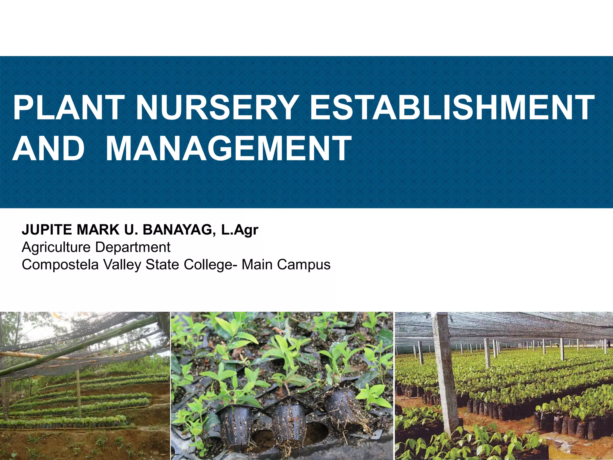Agricultural Nursery Establishment and Management | PDF