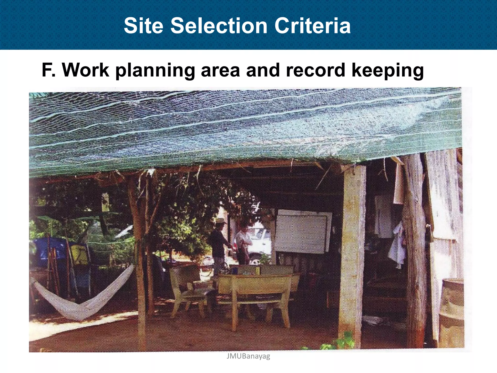 Agricultural Nursery Establishment and Management | PDF