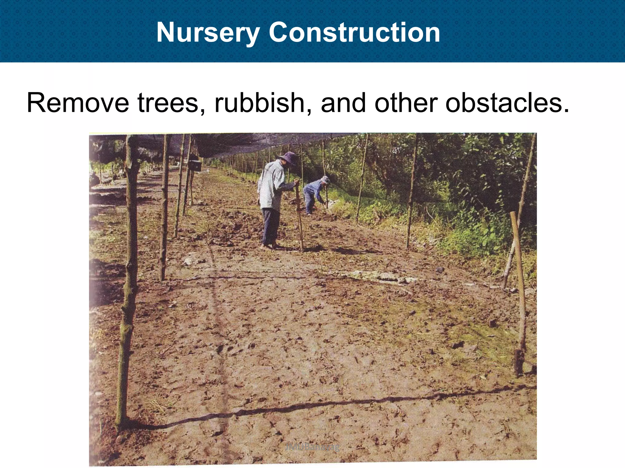 Agricultural Nursery Establishment and Management | PDF
