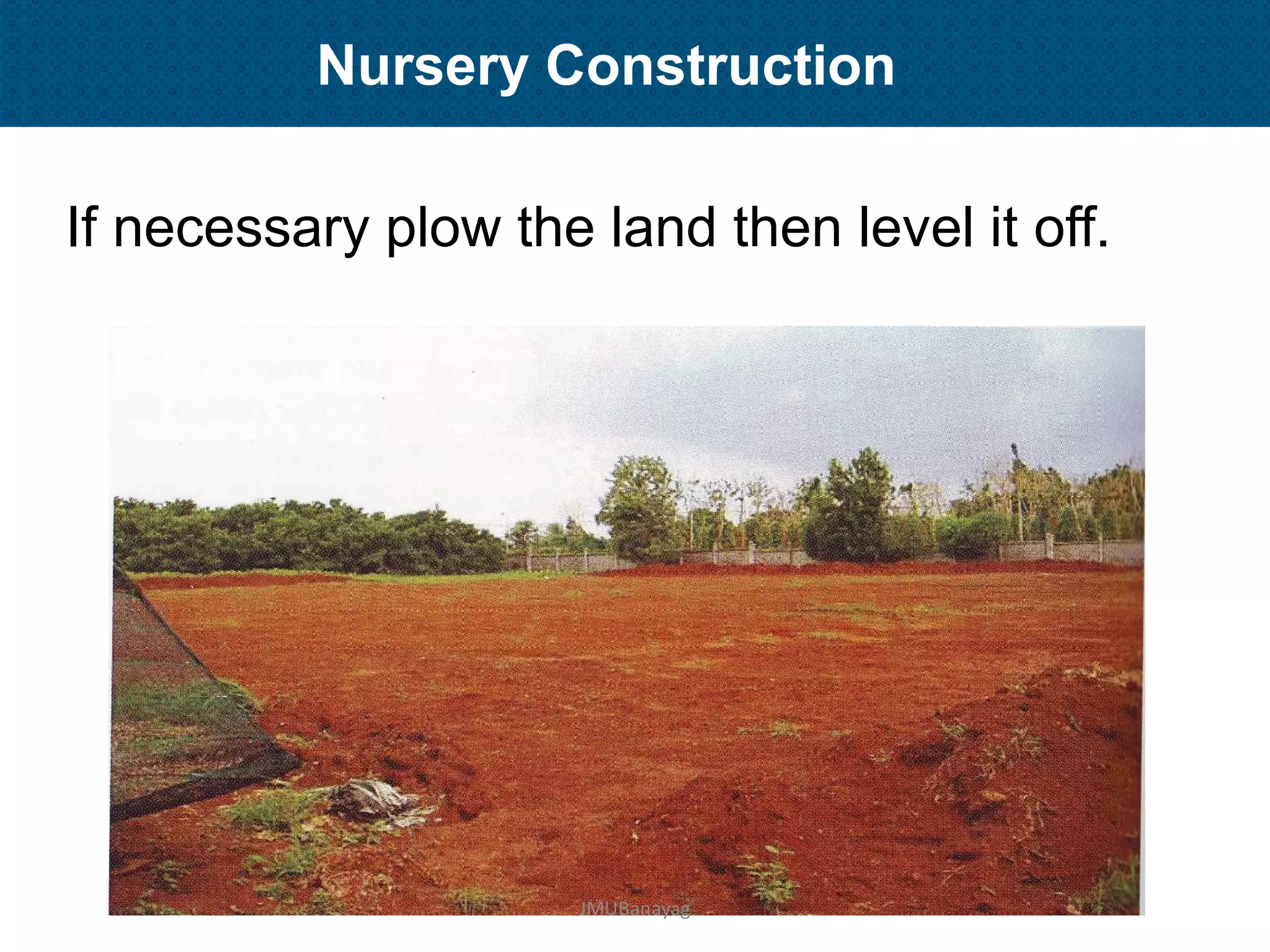 Agricultural Nursery Establishment and Management | PDF