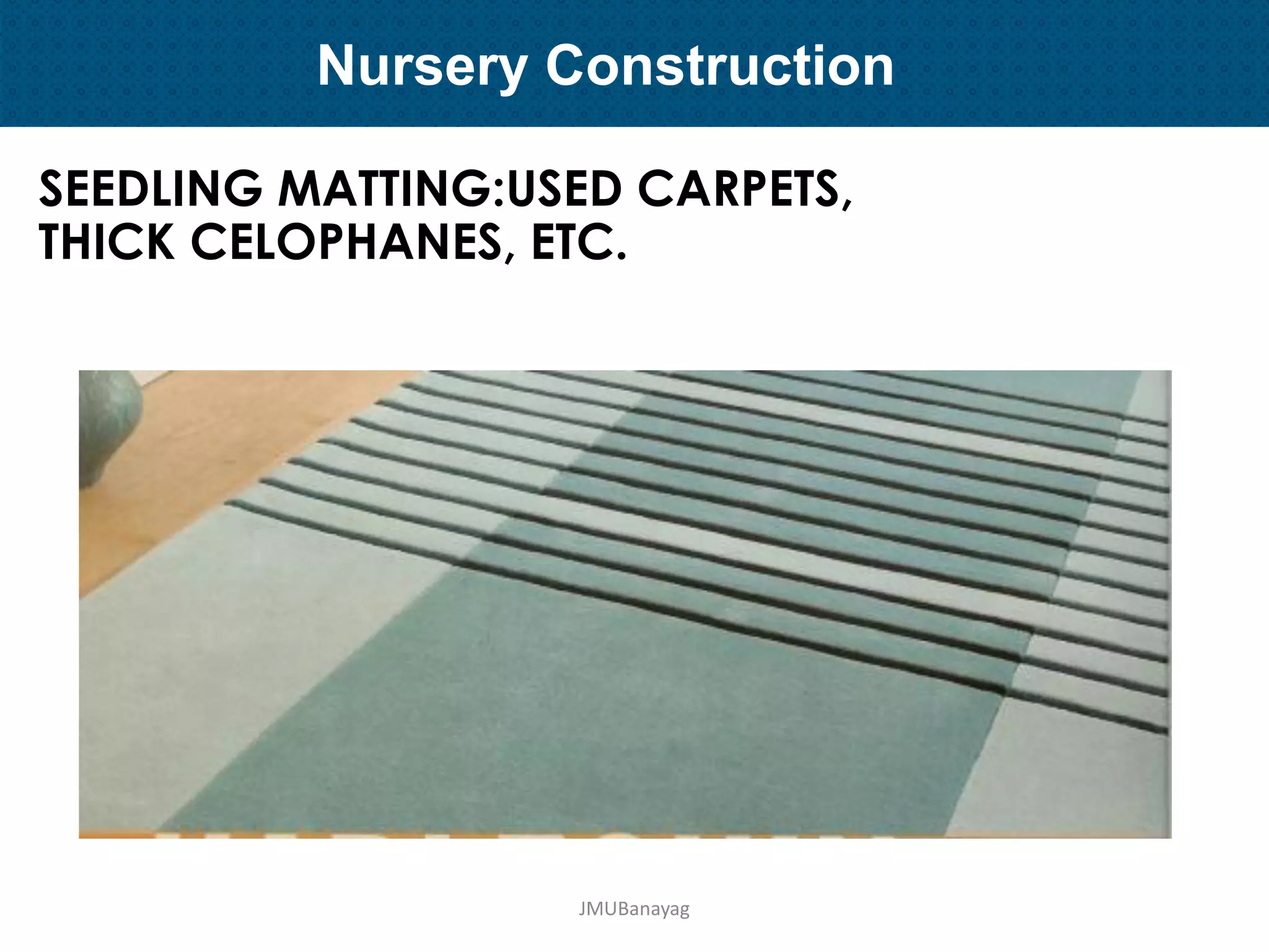 Agricultural Nursery Establishment and Management | PDF