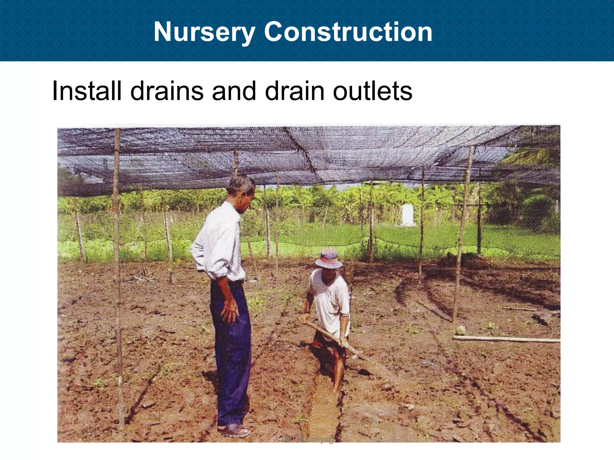 Agricultural Nursery Establishment and Management | PDF