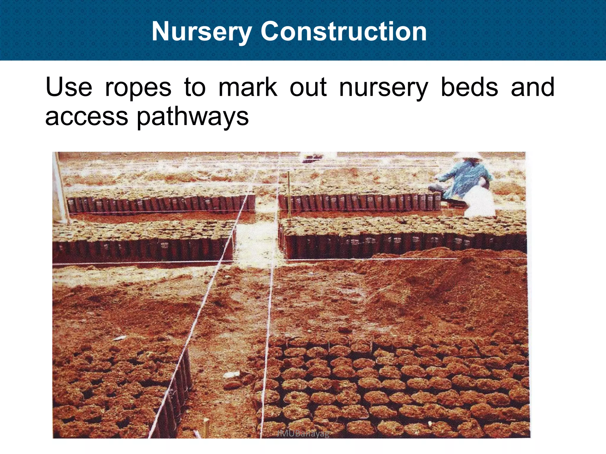 Agricultural Nursery Establishment and Management | PDF