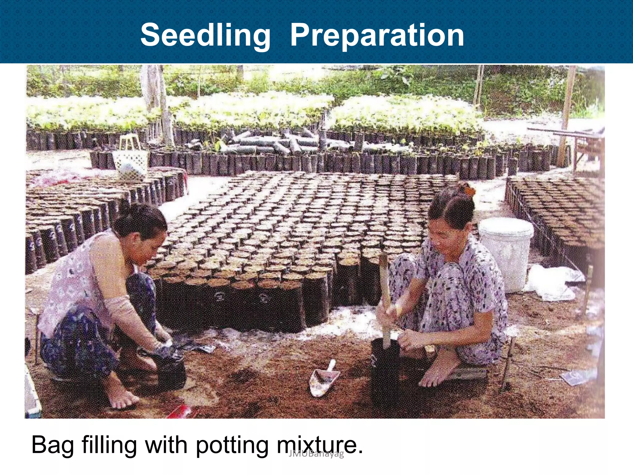 Agricultural Nursery Establishment and Management | PDF