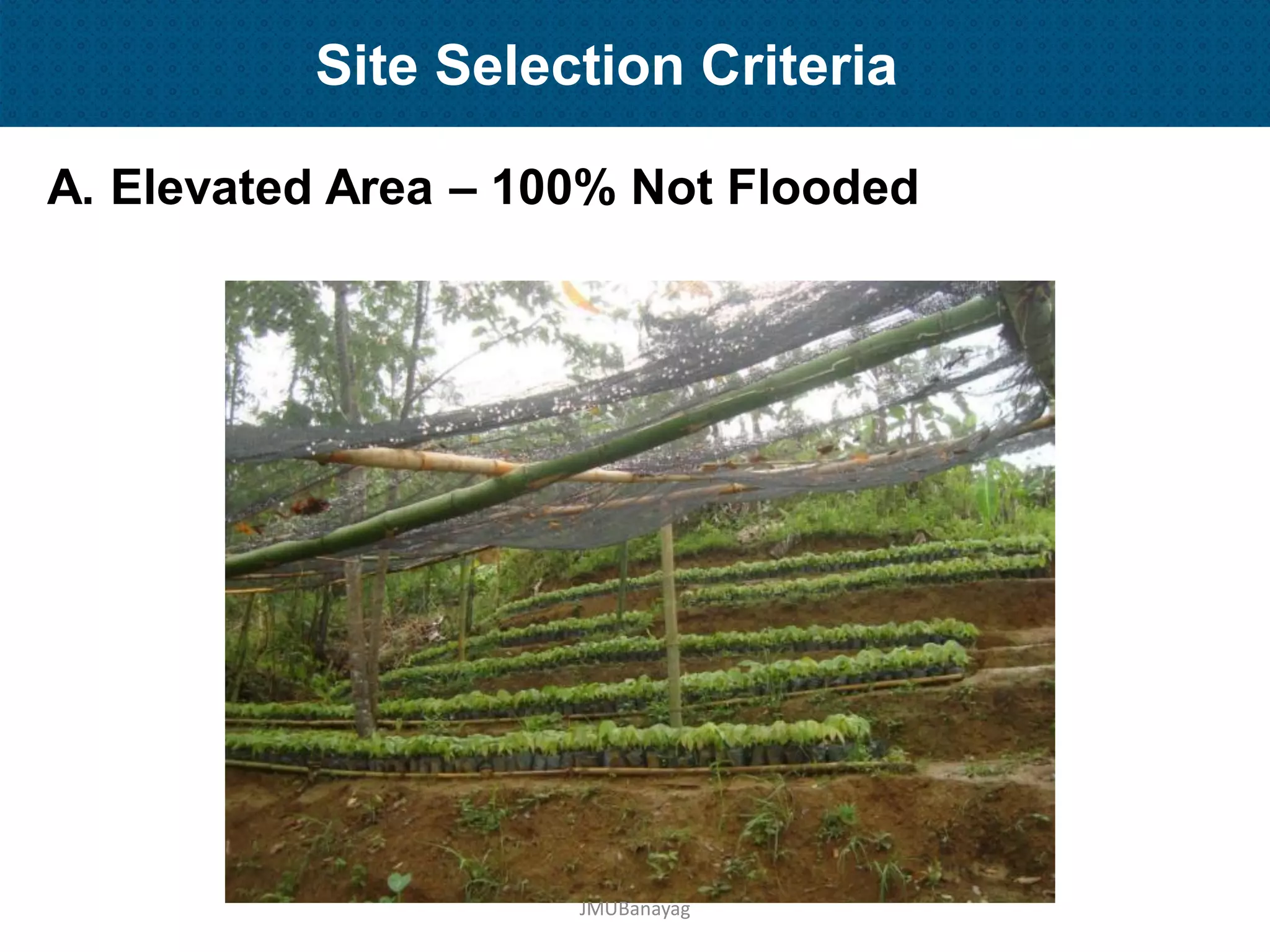 Agricultural Nursery Establishment and Management | PDF