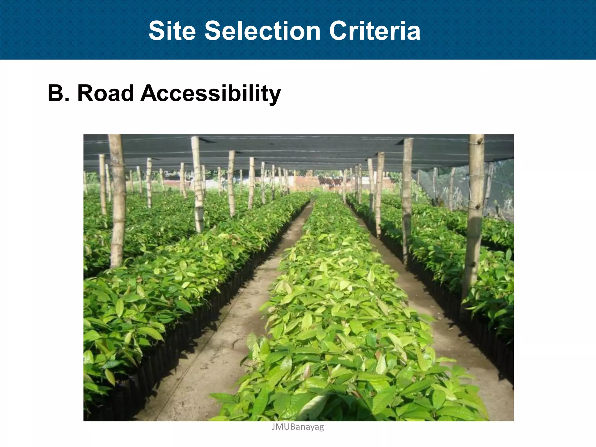 Agricultural Nursery Establishment and Management | PDF