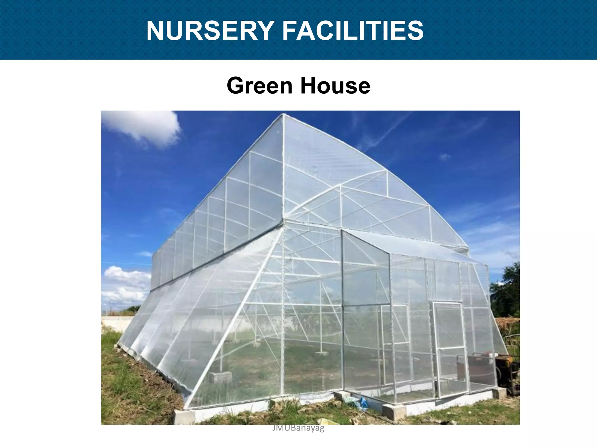 Agricultural Nursery Establishment and Management | PDF