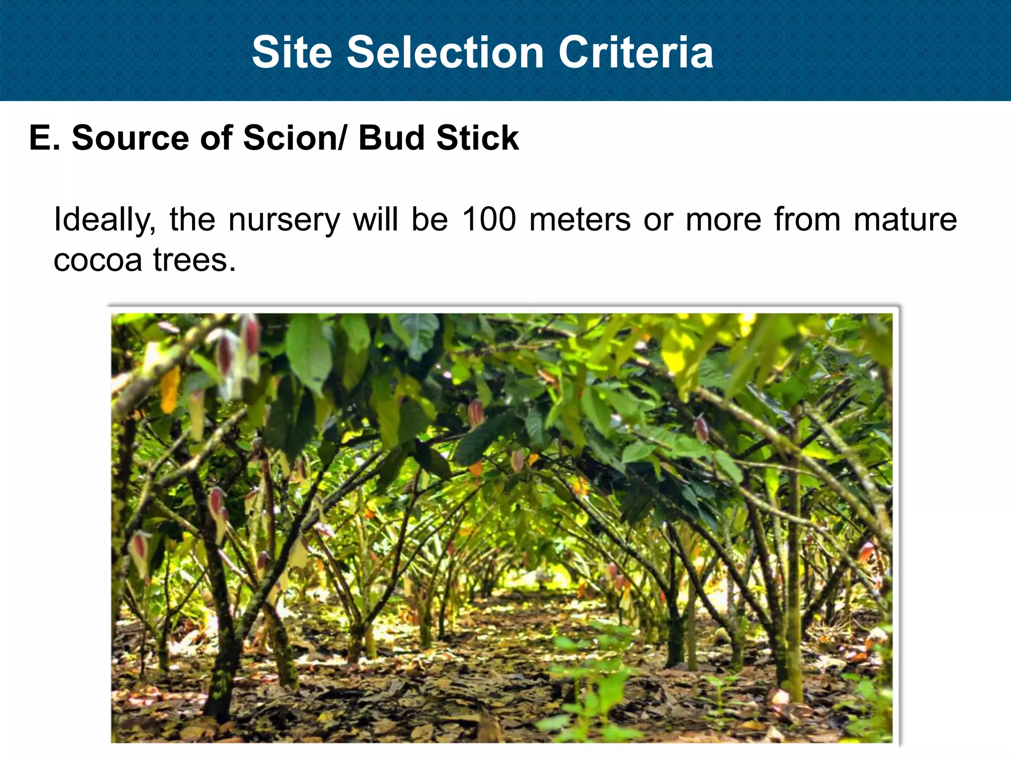 Agricultural Nursery Establishment and Management | PDF