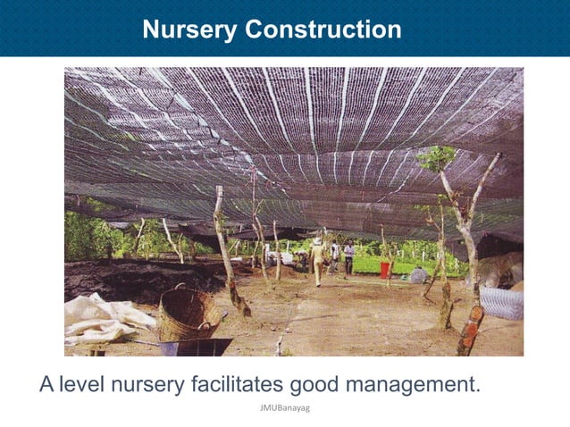 Agricultural Nursery Establishment and Management | PDF