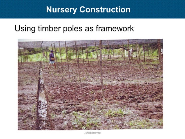 Agricultural Nursery Establishment and Management | PDF