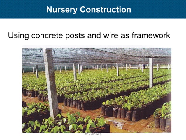Agricultural Nursery Establishment and Management | PDF