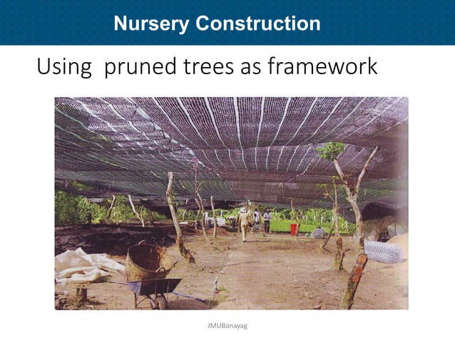 Agricultural Nursery Establishment and Management | PDF
