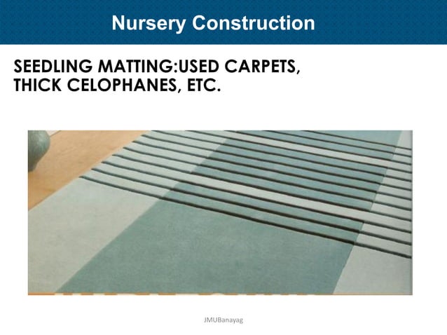 Agricultural Nursery Establishment and Management | PDF