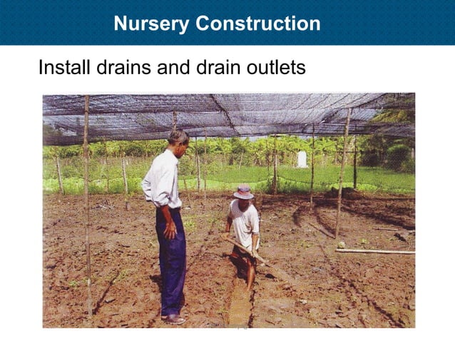 Agricultural Nursery Establishment and Management | PDF