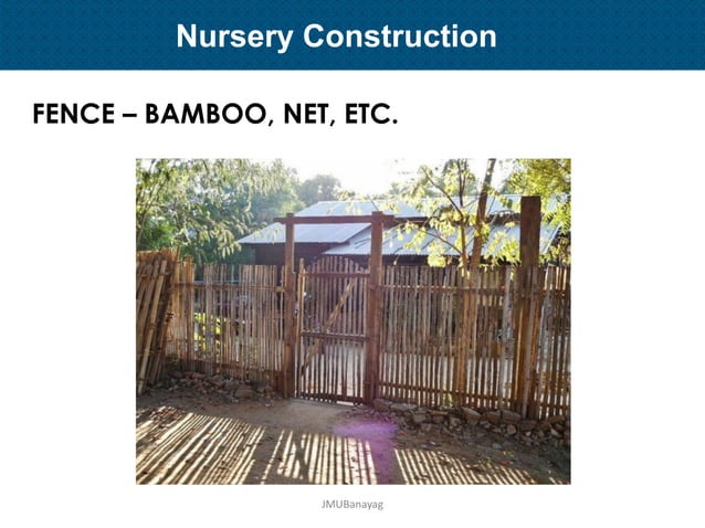 Agricultural Nursery Establishment and Management | PDF