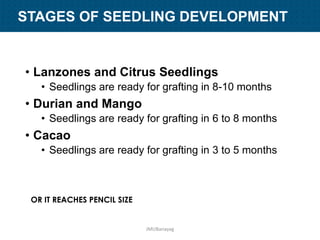 Agricultural Nursery Establishment and Management | PDF