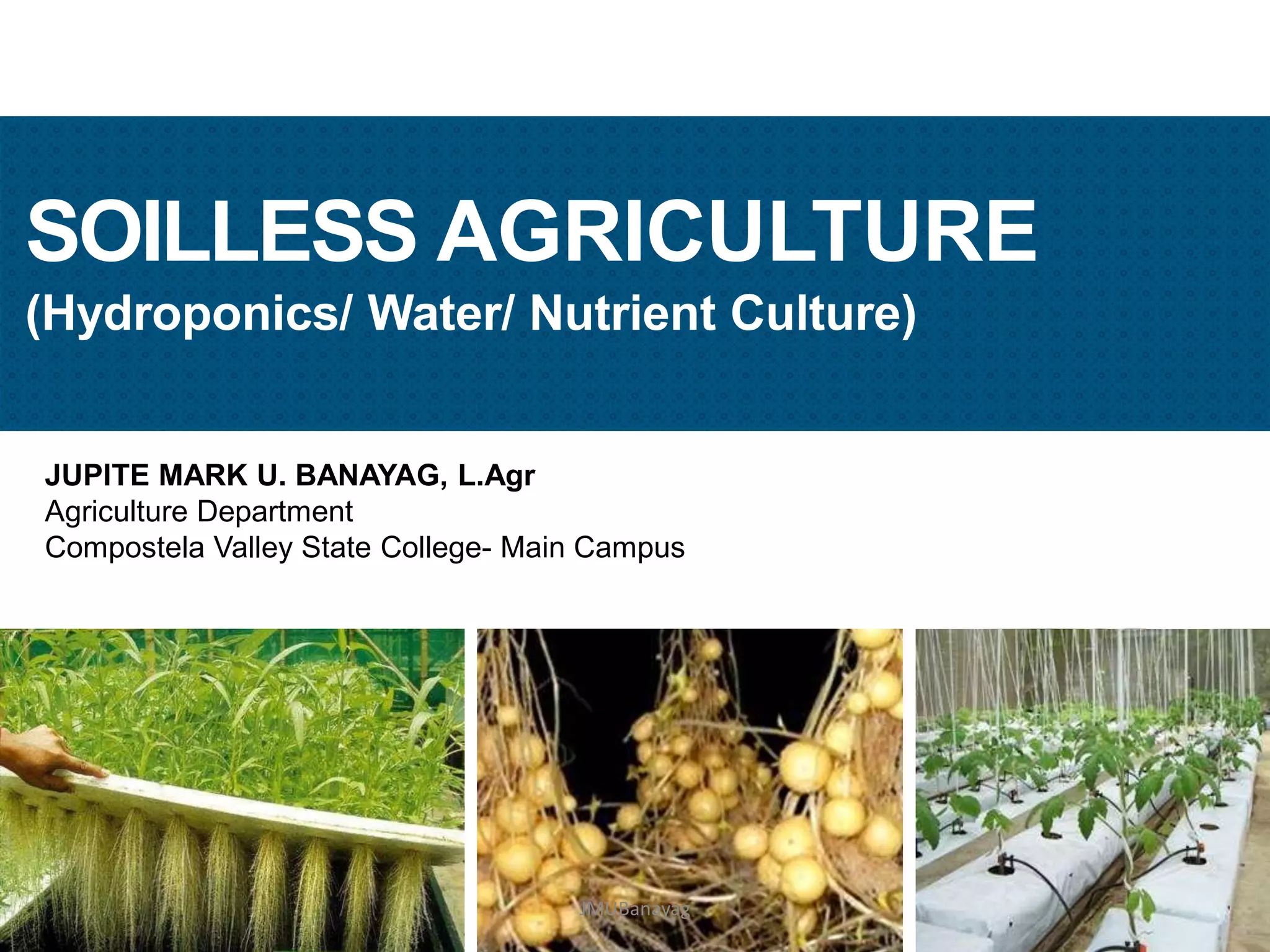Soilless Agriculture (Hydroponics/ Water/ Nutrient Culture) | PDF