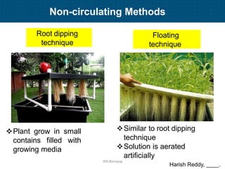 Soilless Agriculture (Hydroponics/ Water/ Nutrient Culture) | PDF
