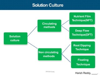 Soilless Agriculture (Hydroponics/ Water/ Nutrient Culture) | PDF