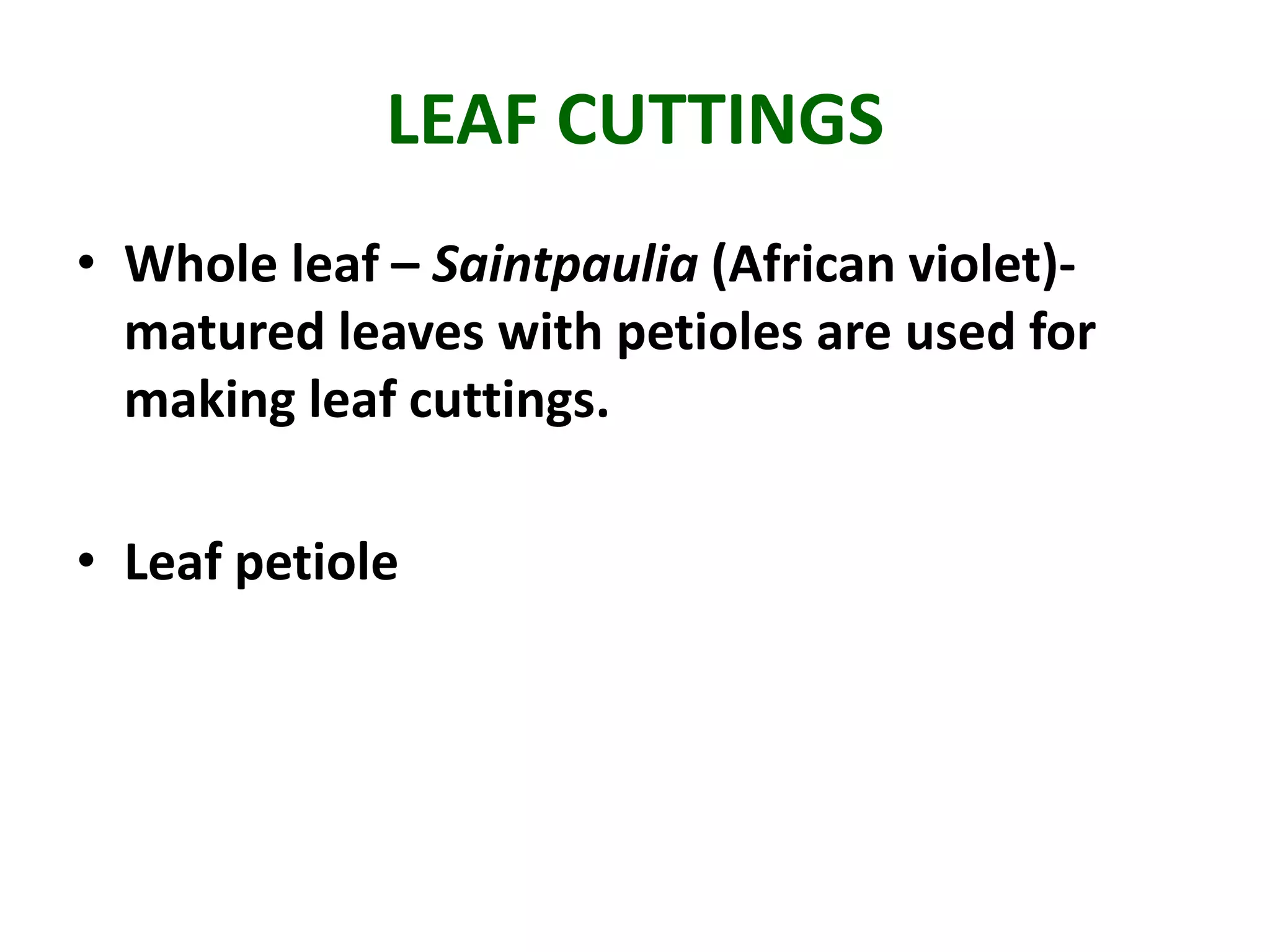 HORTICULTURAL PRACTICES : CUTTING, LAYERING, GRAFTING & BUDDING SMG | PPTX