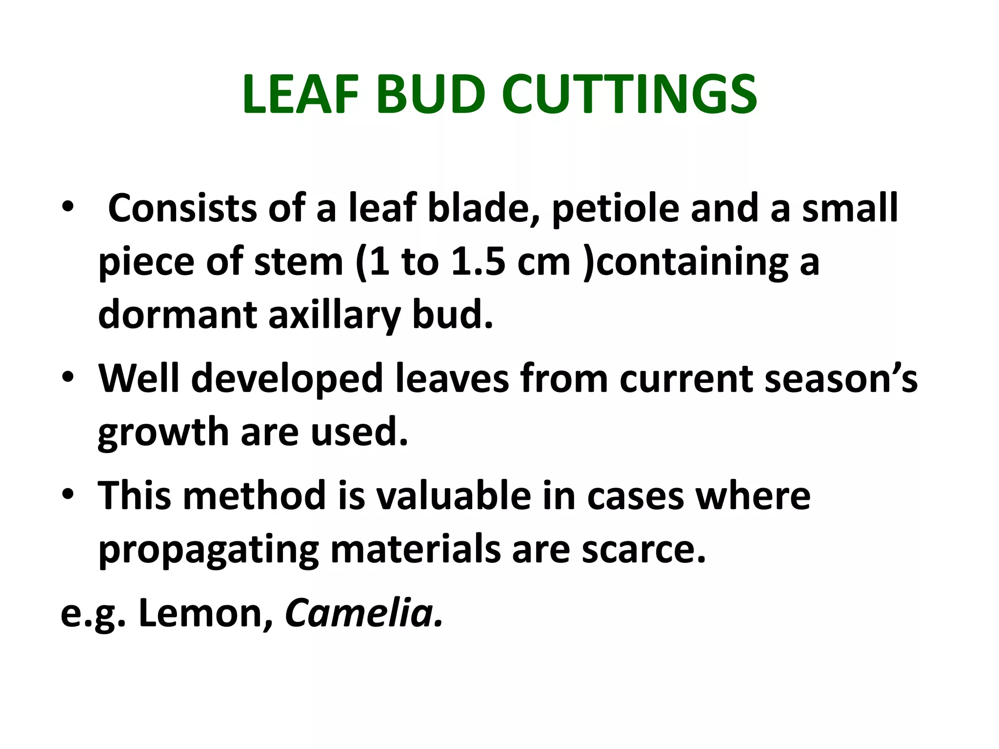 HORTICULTURAL PRACTICES : CUTTING, LAYERING, GRAFTING & BUDDING SMG | PPTX