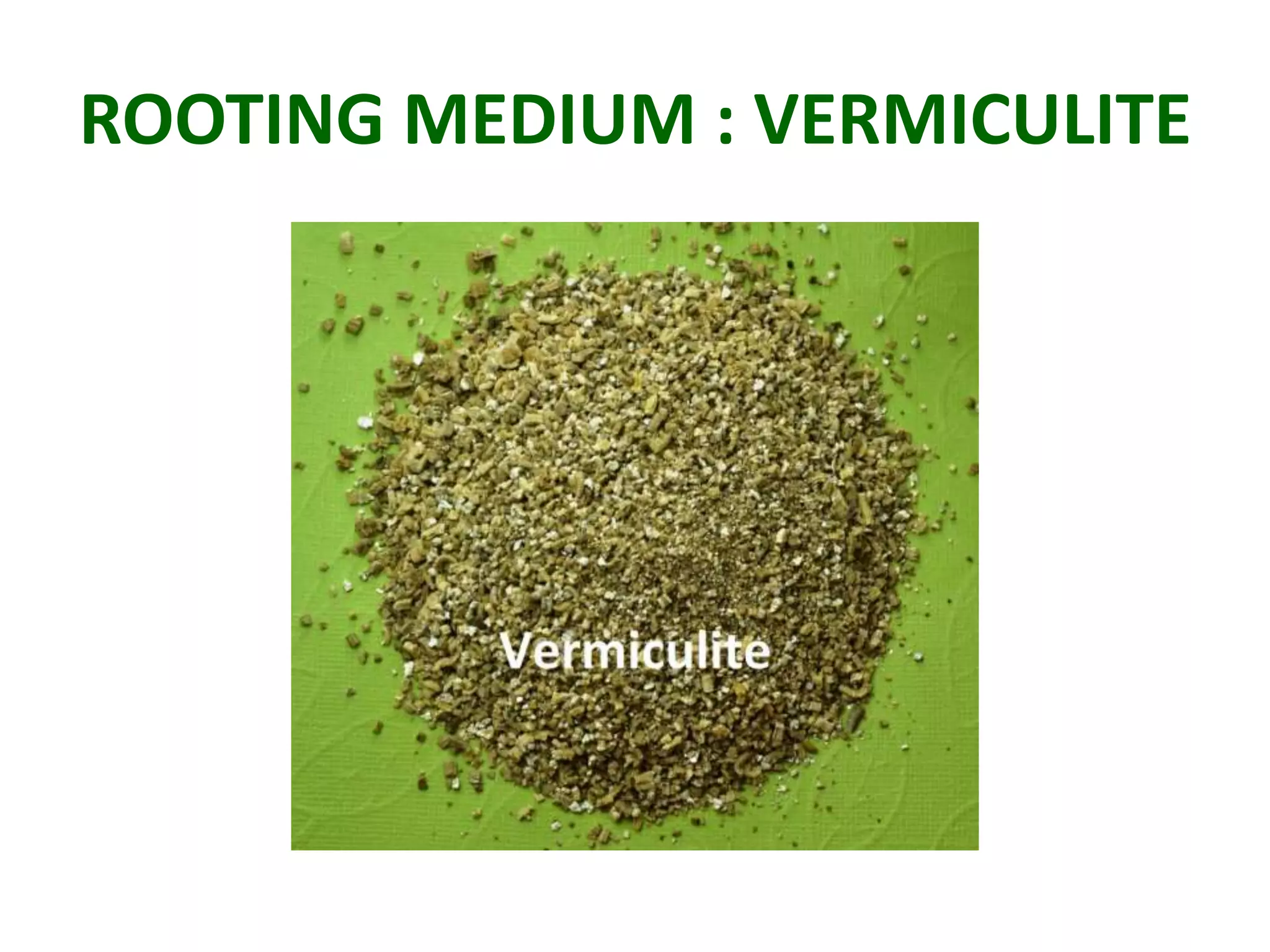 HORTICULTURAL PRACTICES : CUTTING, LAYERING, GRAFTING & BUDDING SMG | PPTX