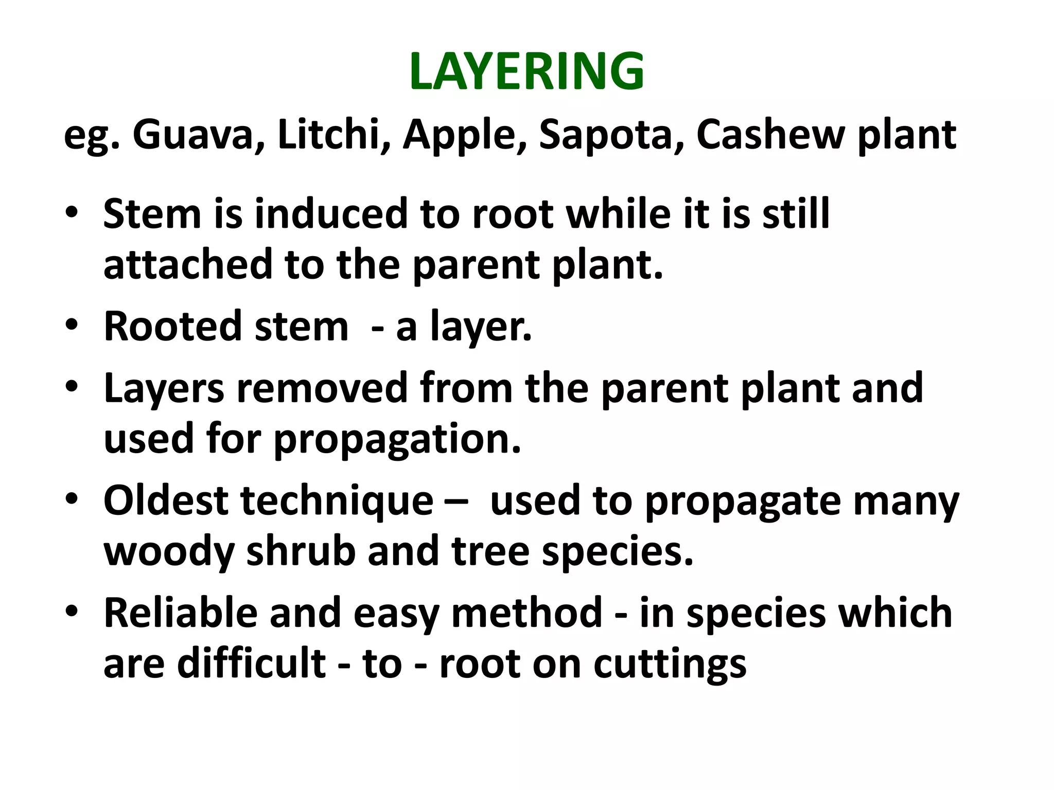 HORTICULTURAL PRACTICES : CUTTING, LAYERING, GRAFTING & BUDDING SMG ...