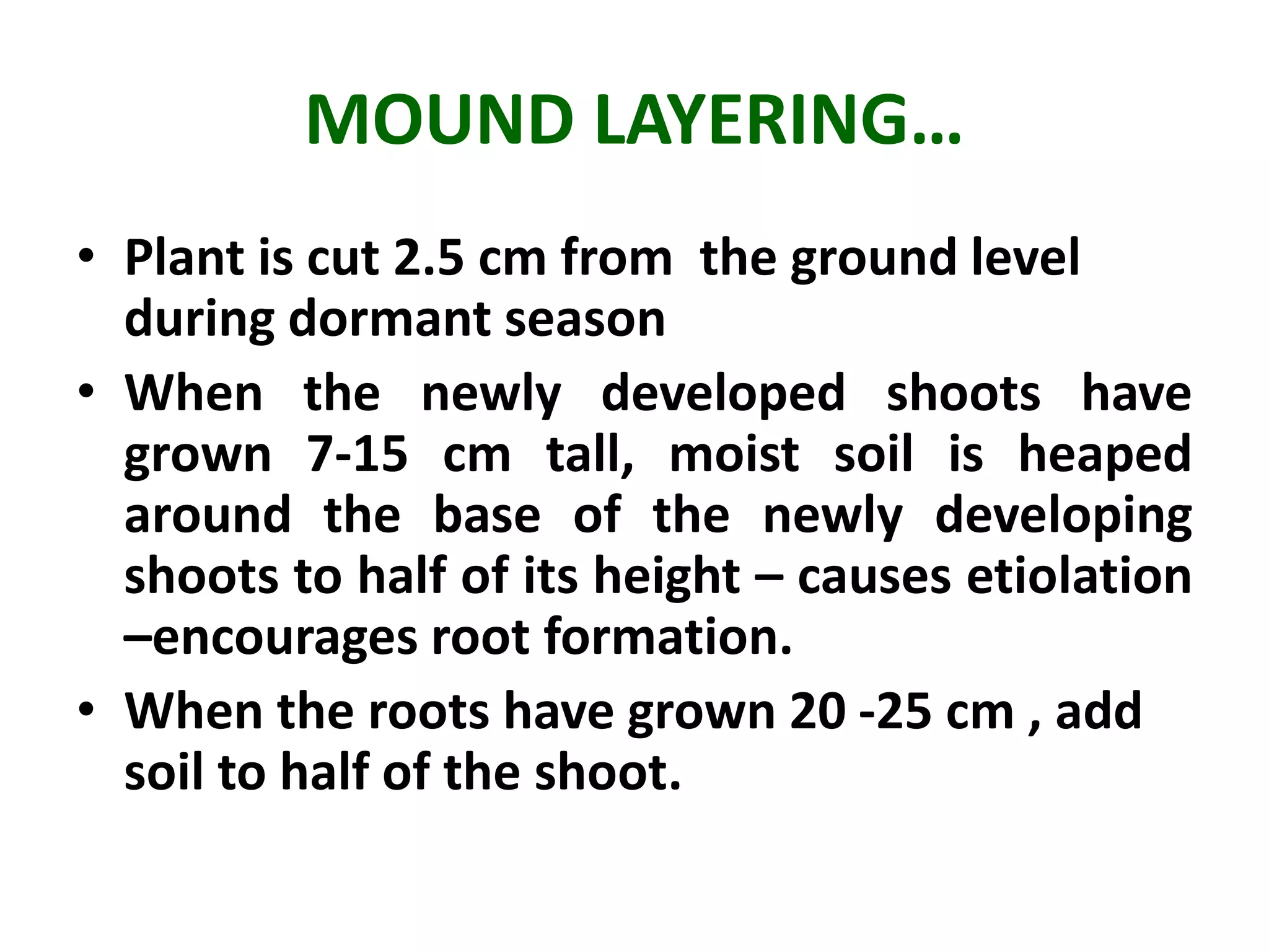 HORTICULTURAL PRACTICES : CUTTING, LAYERING, GRAFTING & BUDDING SMG | PPTX