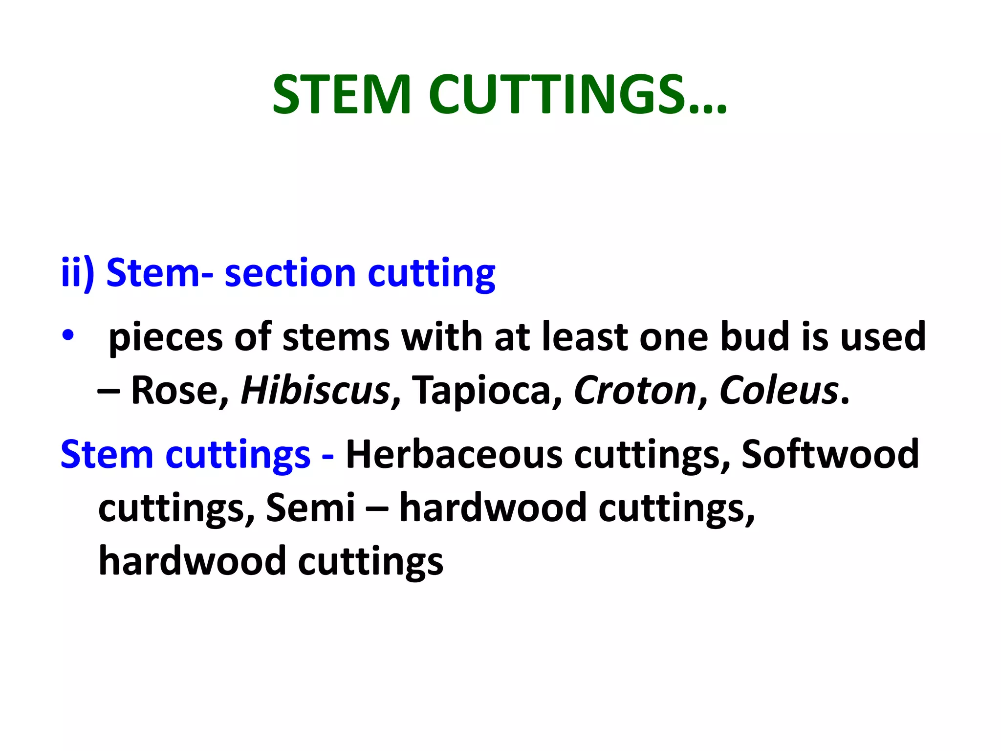 HORTICULTURAL PRACTICES : CUTTING, LAYERING, GRAFTING & BUDDING SMG | PPTX