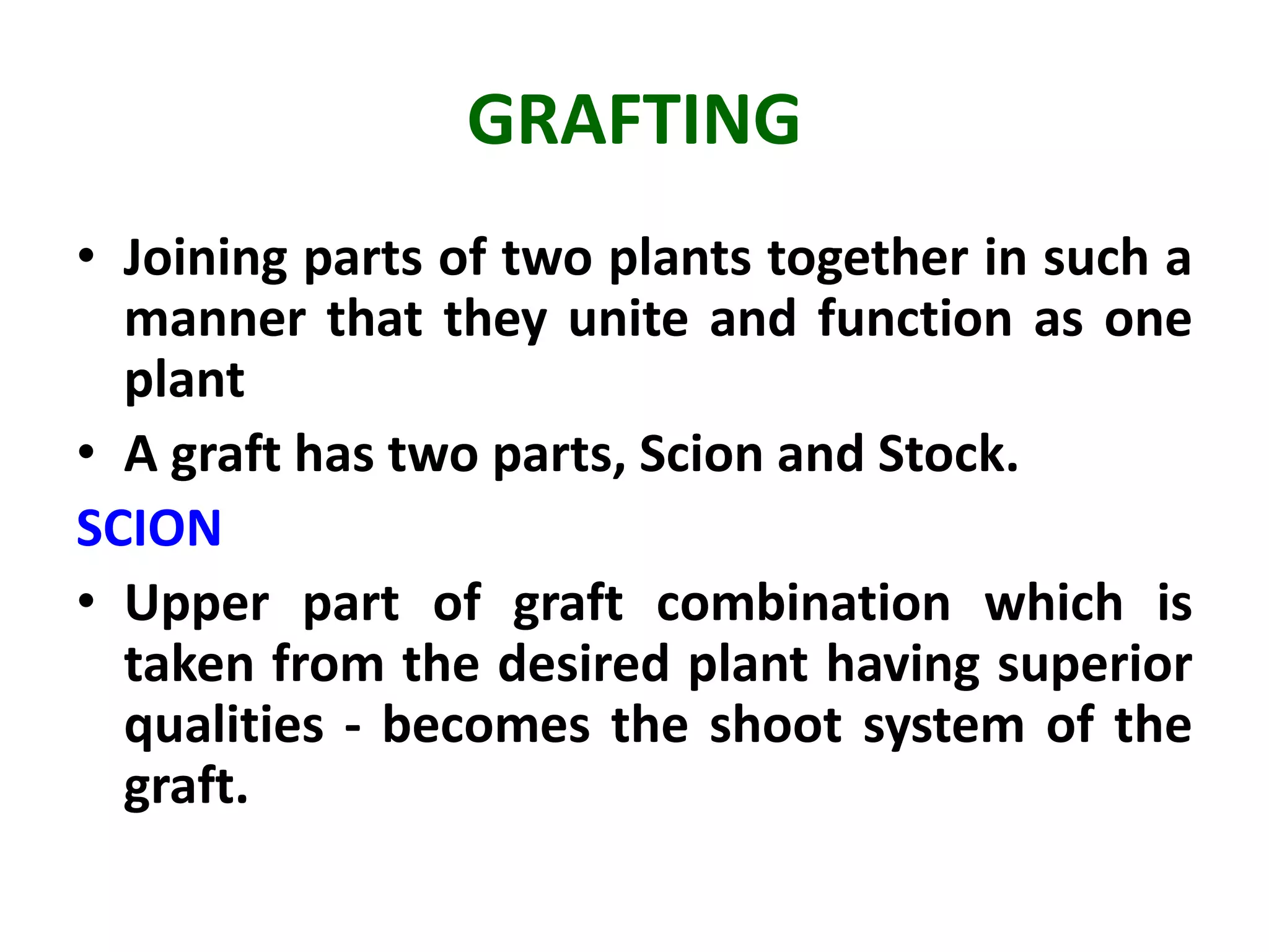 HORTICULTURAL PRACTICES : CUTTING, LAYERING, GRAFTING & BUDDING SMG | PPTX