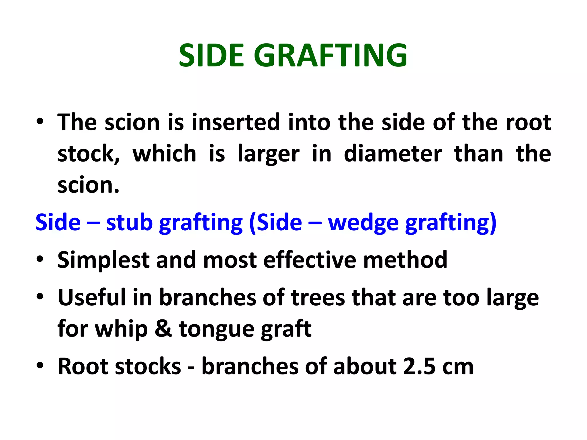 HORTICULTURAL PRACTICES : CUTTING, LAYERING, GRAFTING & BUDDING SMG | PPTX