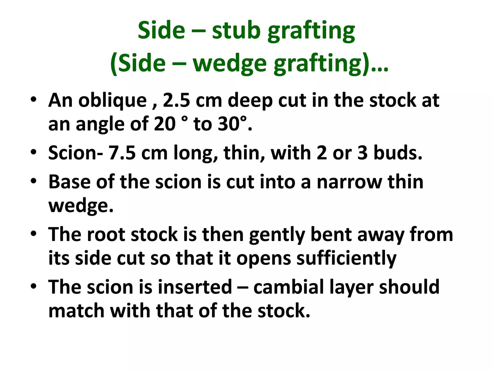 HORTICULTURAL PRACTICES : CUTTING, LAYERING, GRAFTING & BUDDING SMG | PPTX