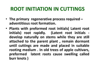 HORTICULTURAL PRACTICES : CUTTING, LAYERING, GRAFTING & BUDDING SMG | PPTX