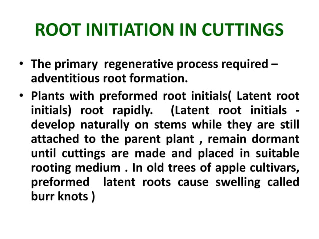 HORTICULTURAL PRACTICES : CUTTING, LAYERING, GRAFTING & BUDDING SMG ...