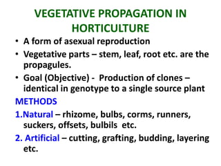 HORTICULTURAL PRACTICES : CUTTING, LAYERING, GRAFTING & BUDDING SMG | PPTX