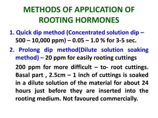 HORTICULTURAL PRACTICES : CUTTING, LAYERING, GRAFTING & BUDDING SMG | PPTX