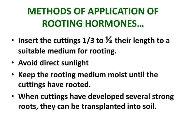 HORTICULTURAL PRACTICES : CUTTING, LAYERING, GRAFTING & BUDDING SMG ...