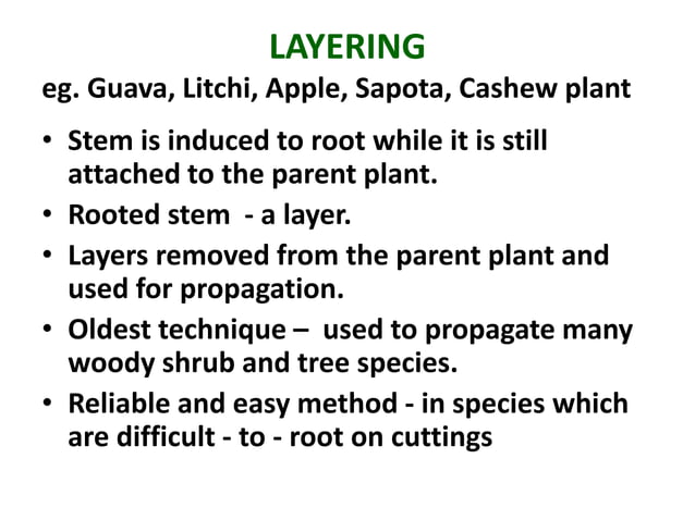 HORTICULTURAL PRACTICES : CUTTING, LAYERING, GRAFTING & BUDDING SMG ...