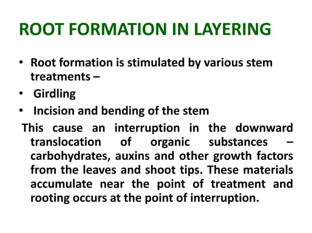 HORTICULTURAL PRACTICES : CUTTING, LAYERING, GRAFTING & BUDDING SMG ...
