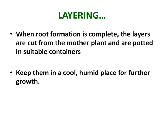 HORTICULTURAL PRACTICES : CUTTING, LAYERING, GRAFTING & BUDDING SMG ...
