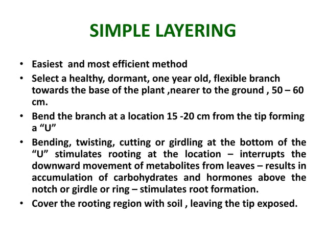 HORTICULTURAL PRACTICES : CUTTING, LAYERING, GRAFTING & BUDDING SMG ...
