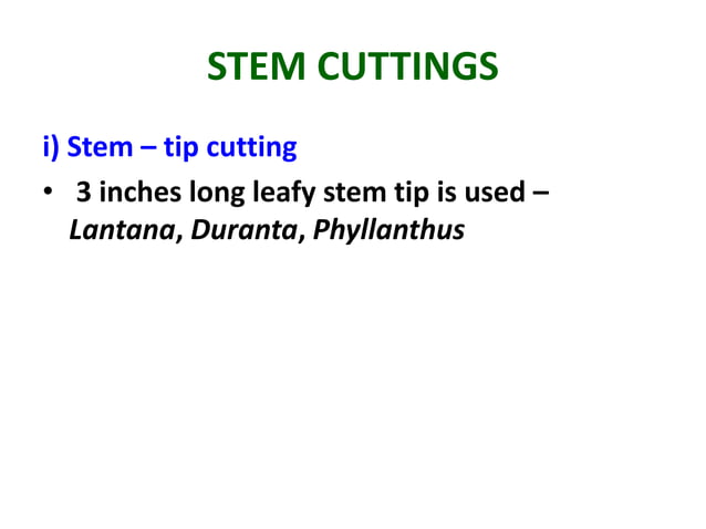 HORTICULTURAL PRACTICES : CUTTING, LAYERING, GRAFTING & BUDDING SMG ...