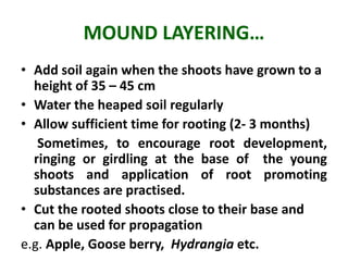 HORTICULTURAL PRACTICES : CUTTING, LAYERING, GRAFTING & BUDDING SMG | PPTX