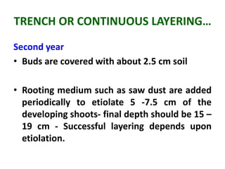HORTICULTURAL PRACTICES : CUTTING, LAYERING, GRAFTING & BUDDING SMG | PPTX