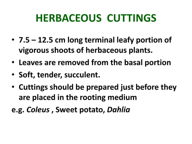 HORTICULTURAL PRACTICES : CUTTING, LAYERING, GRAFTING & BUDDING SMG ...