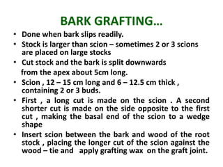 HORTICULTURAL PRACTICES : CUTTING, LAYERING, GRAFTING & BUDDING SMG | PPTX