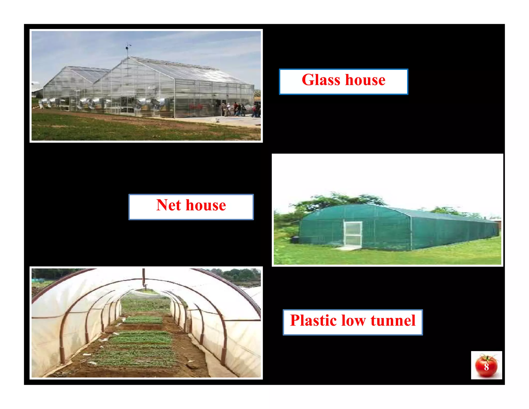 Horticultural practices in vegetable crops | PDF