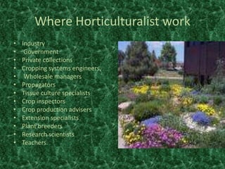 Horticulture | PPTX