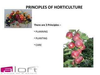 Horticulture | PPT