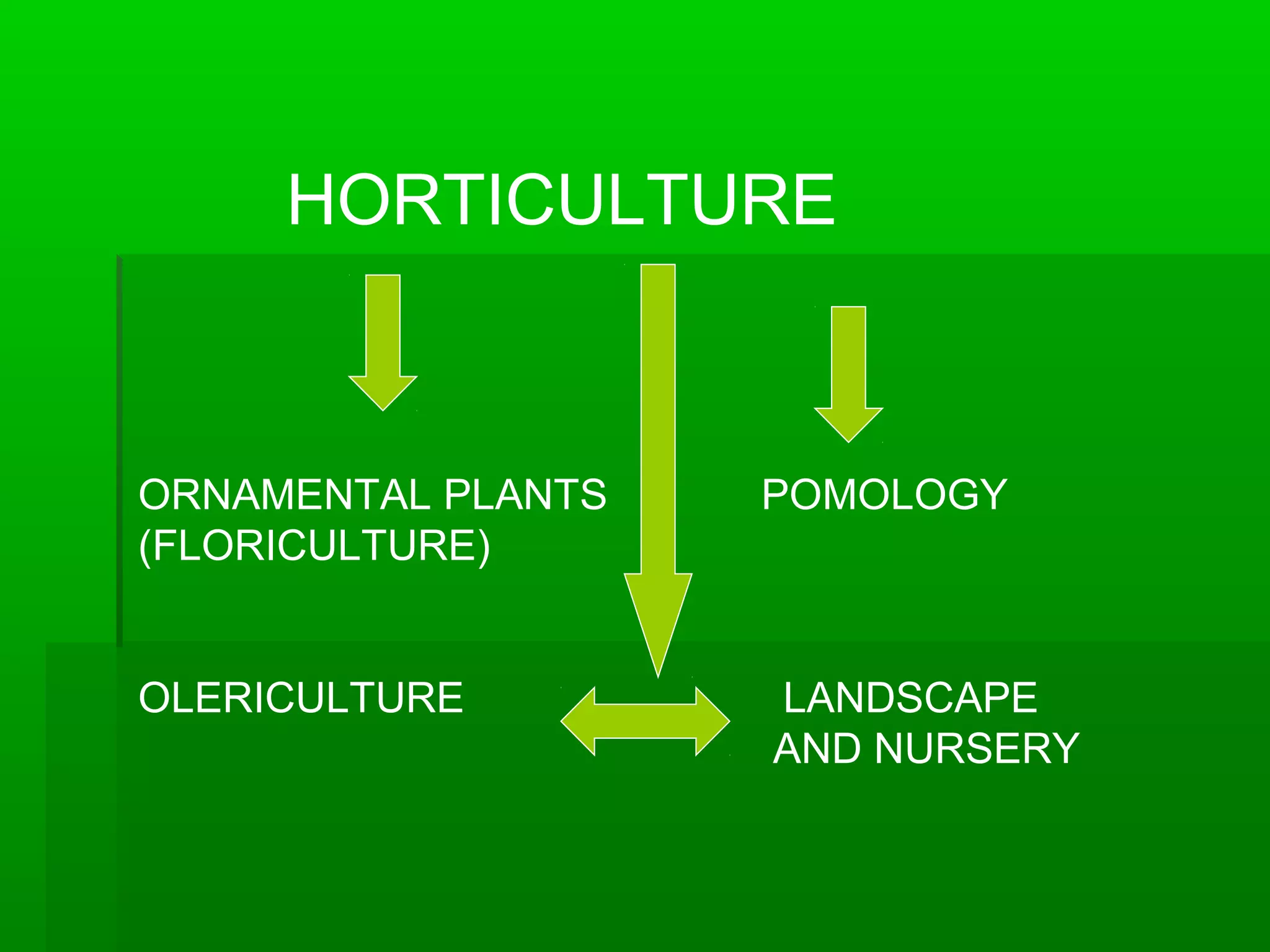 Horticulture | PPT